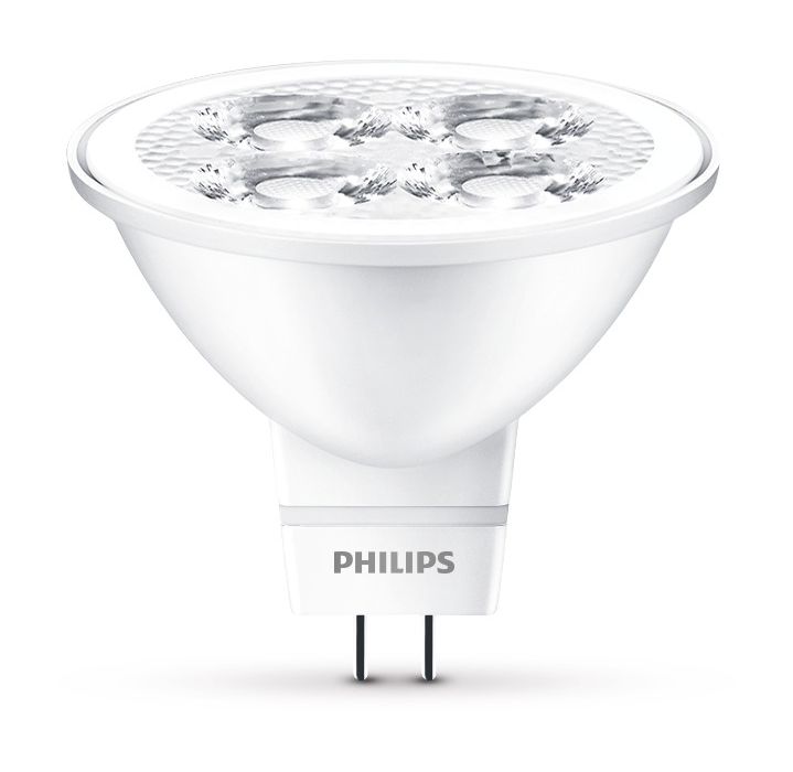 Philips Led Focus Light 50w | Shelly Lighting