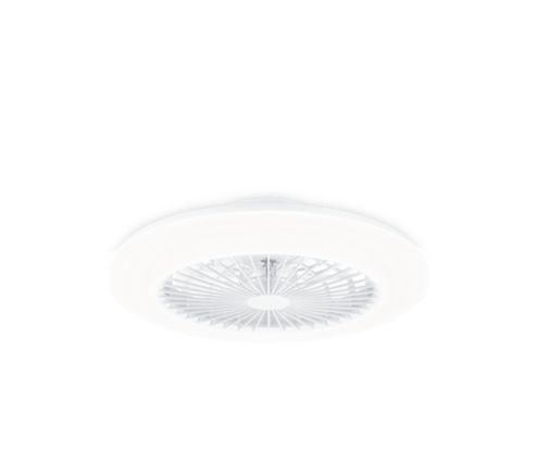 Fan Ceiling Lights Amigo Fan Ceiling Light 42+20 W 8720169248786 | Philips