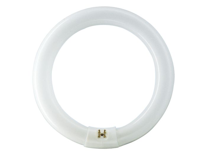 Circline Fluorescent Light Bulb Fixture | Shelly Lighting