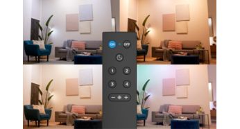 Smart Accessory Remote Control 8718696466162 | Philips