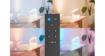 Smart Accessory Remote Control 8718696466162 | PHILIPS