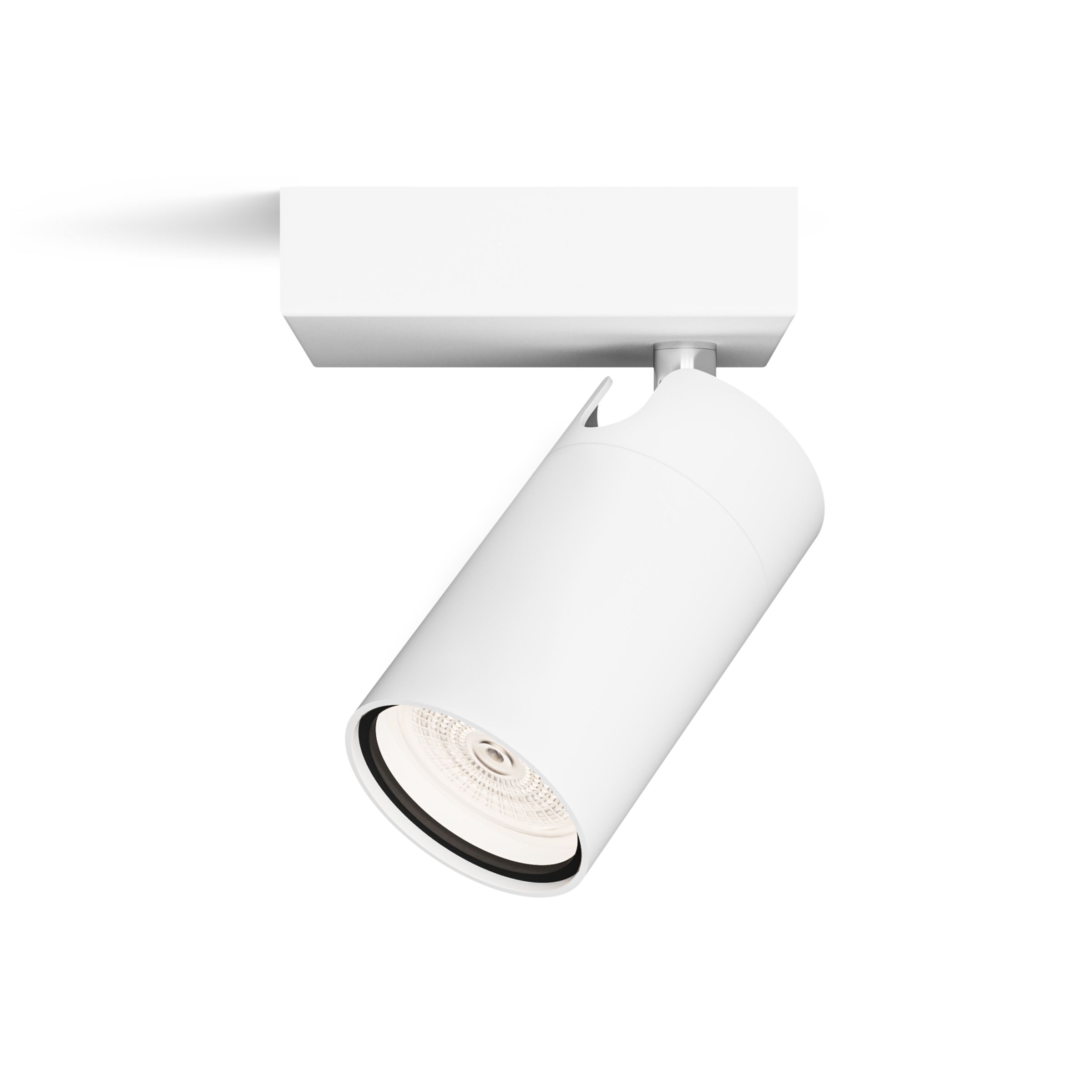 Ceiling/Wall Spotlights Idris Ceiling/Wall Spotlight | 8720169299078 ...