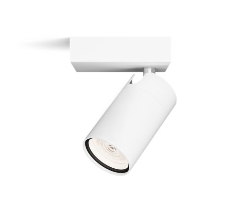 Ceiling/Wall Spotlights Idris Ceiling/Wall Spotlight 8720169299078 ...