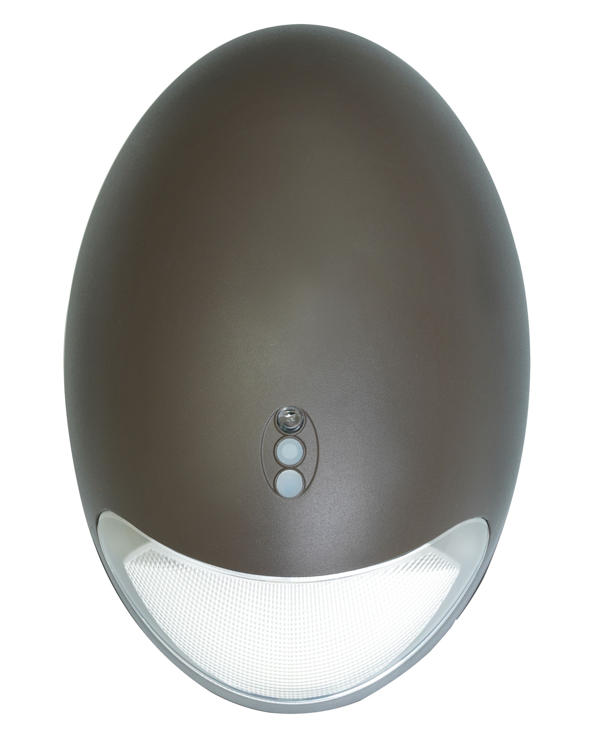 Emergency Directional Wall Light