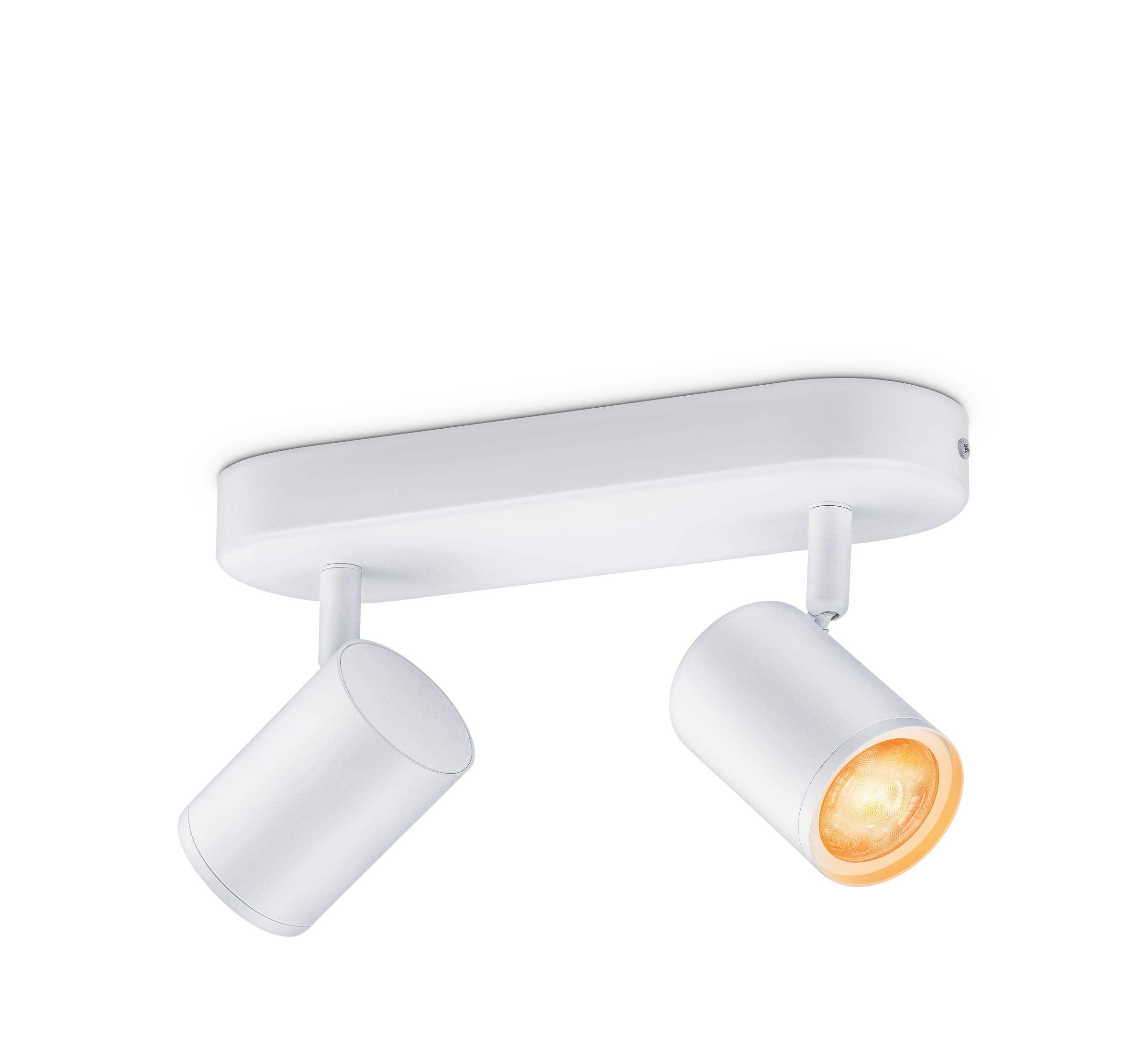 Spotlight IMAGEO 2x adjustable spotlight | WiZ GB