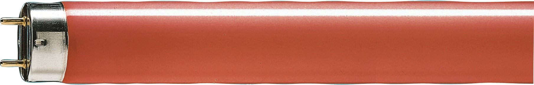 TL-D Colored 18W Red 1SL/25 | 928048001505 | Philips lighting