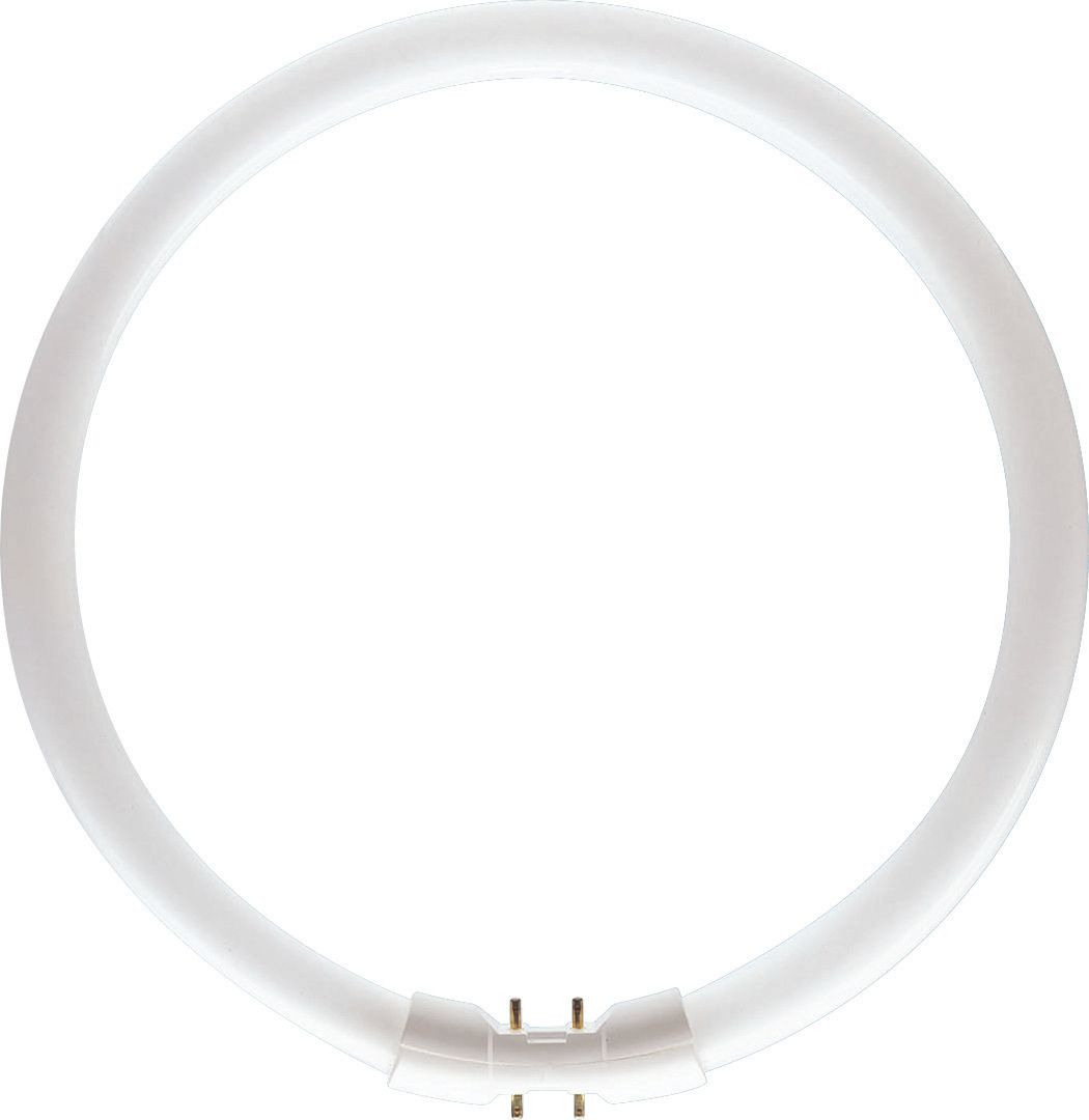 Philips MASTER TL5 Circular, | Philips lighting