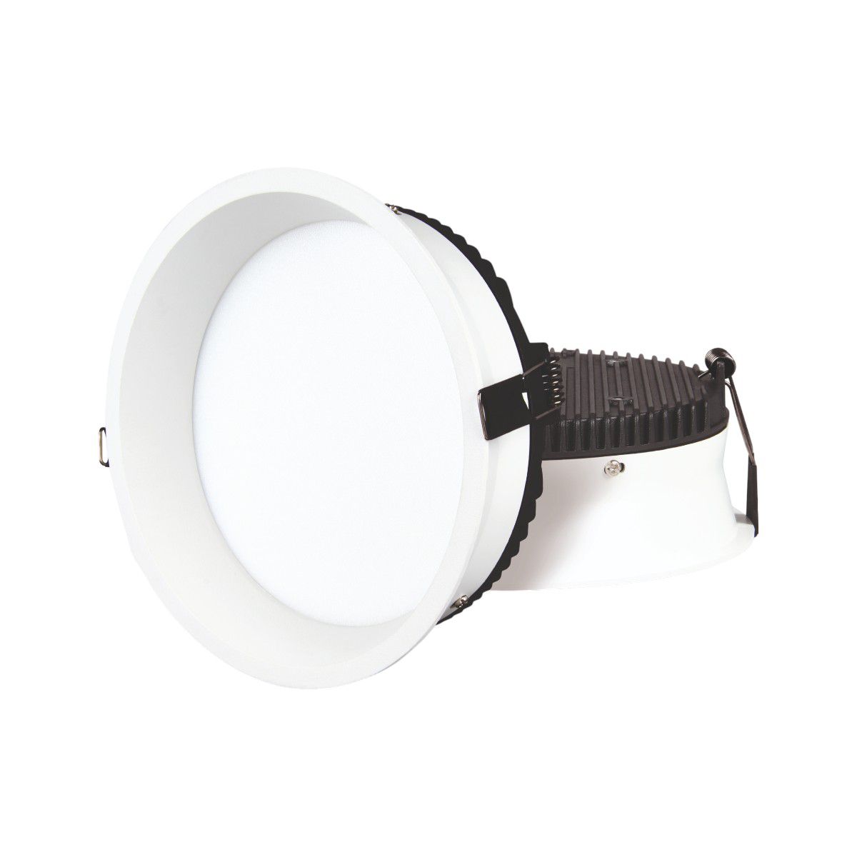 Functional Downlight | 8710619962676 | Philips lighting