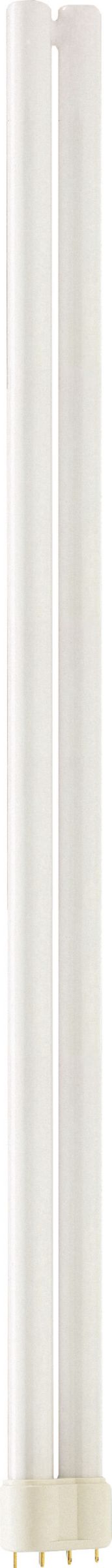 PL-L 40W/841/4P/RS/IS 1CT/25 | 927908008429 | Philips lighting